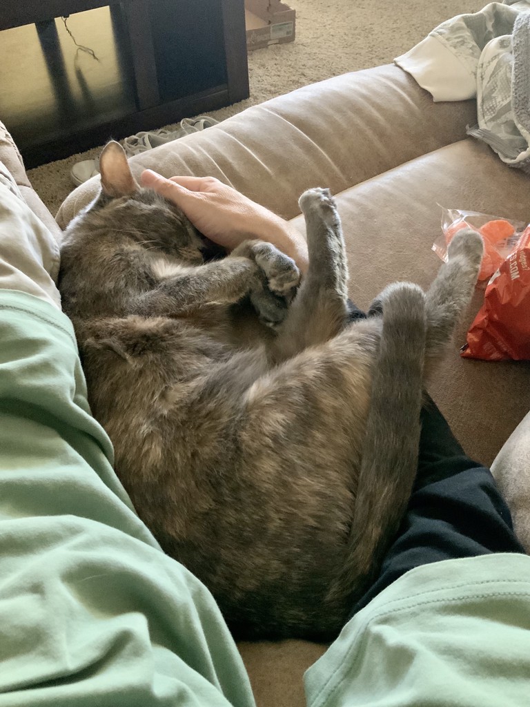 floating.io | Taking a Break